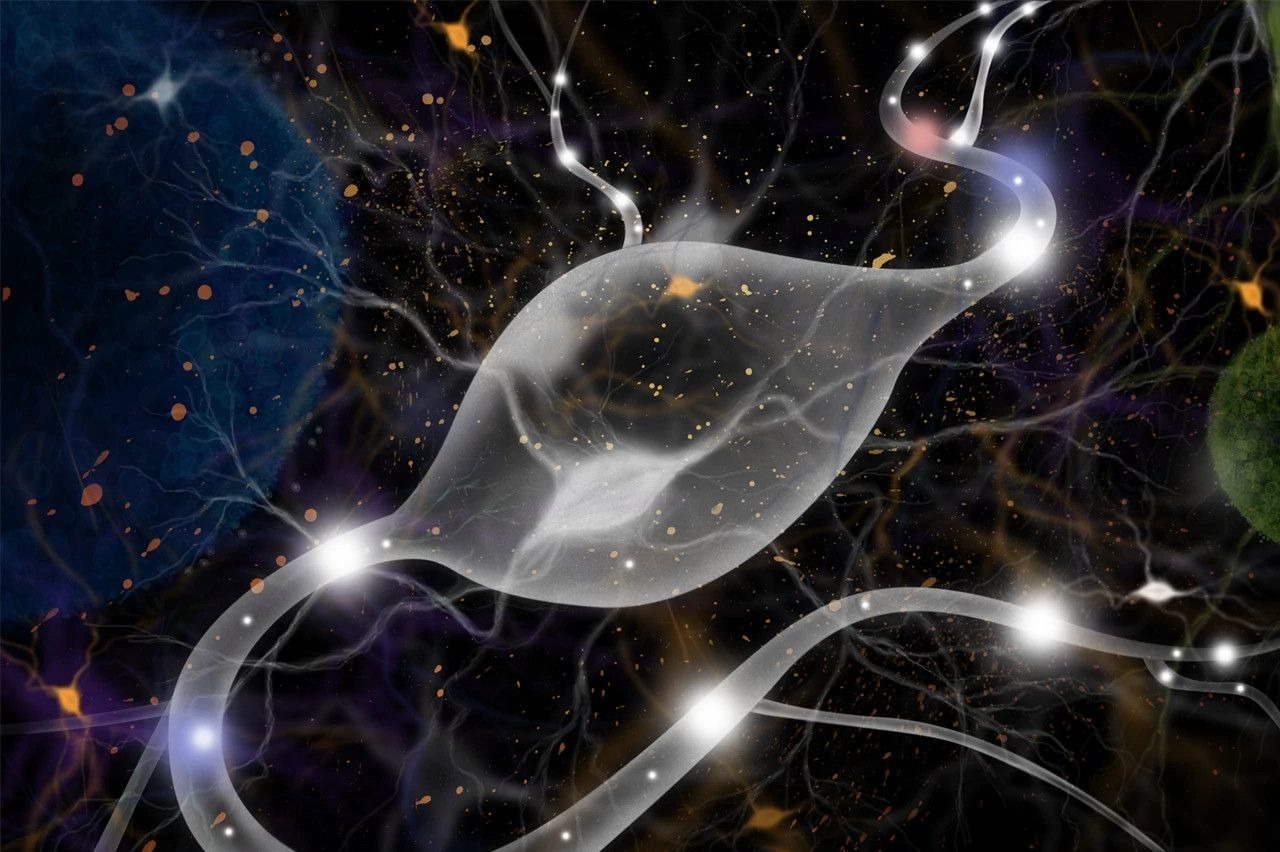 SfN 2021 Neuroscience Timeline